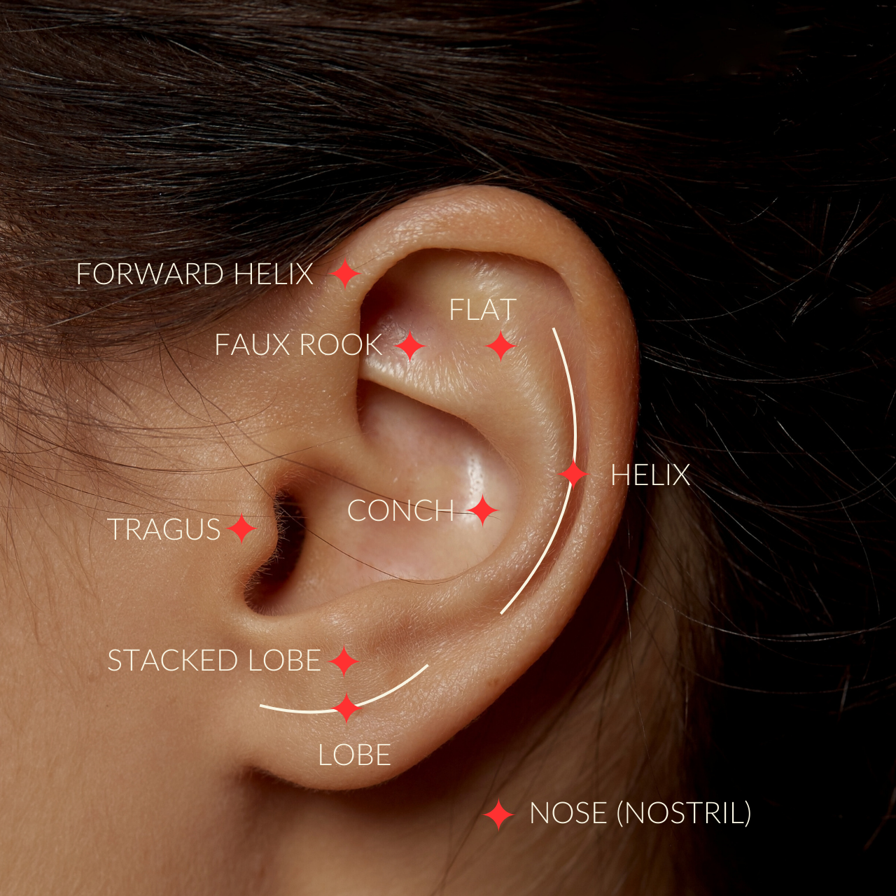 Hong Kong Ear & Nose Needle Piercing! – LABRET